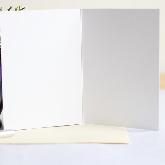 PMS collection – Alicia Souza